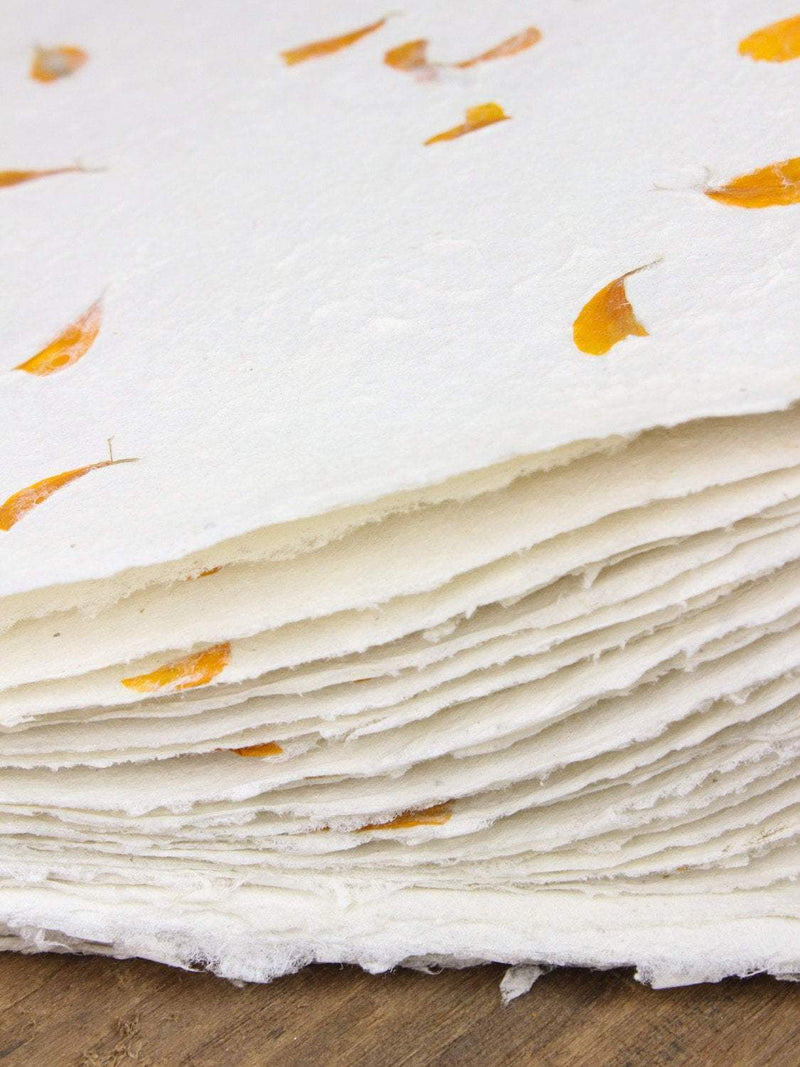 Nepalese Marigold Flower Lokta Paper Sheets - DharmaShop