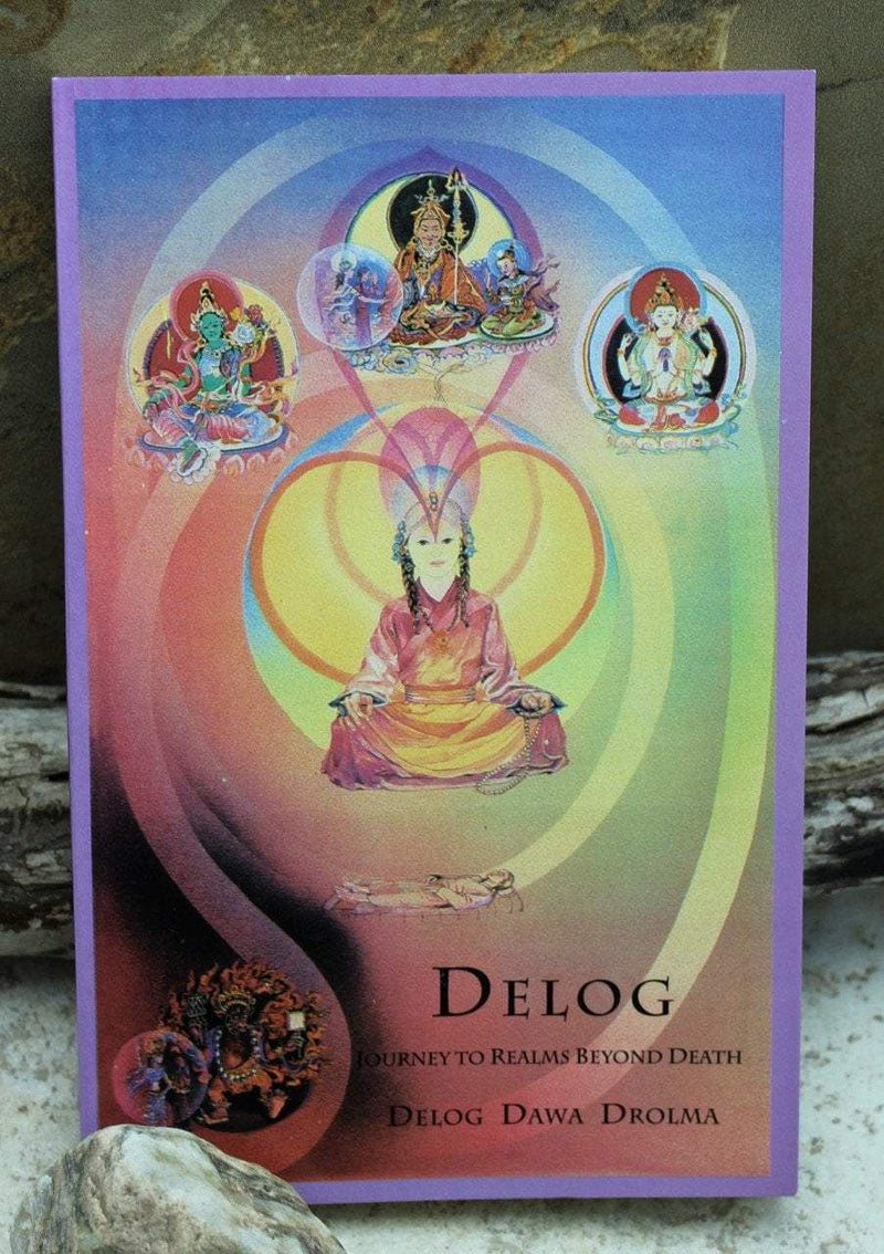 Delog: Journey to Realms Beyond Death - DharmaShop