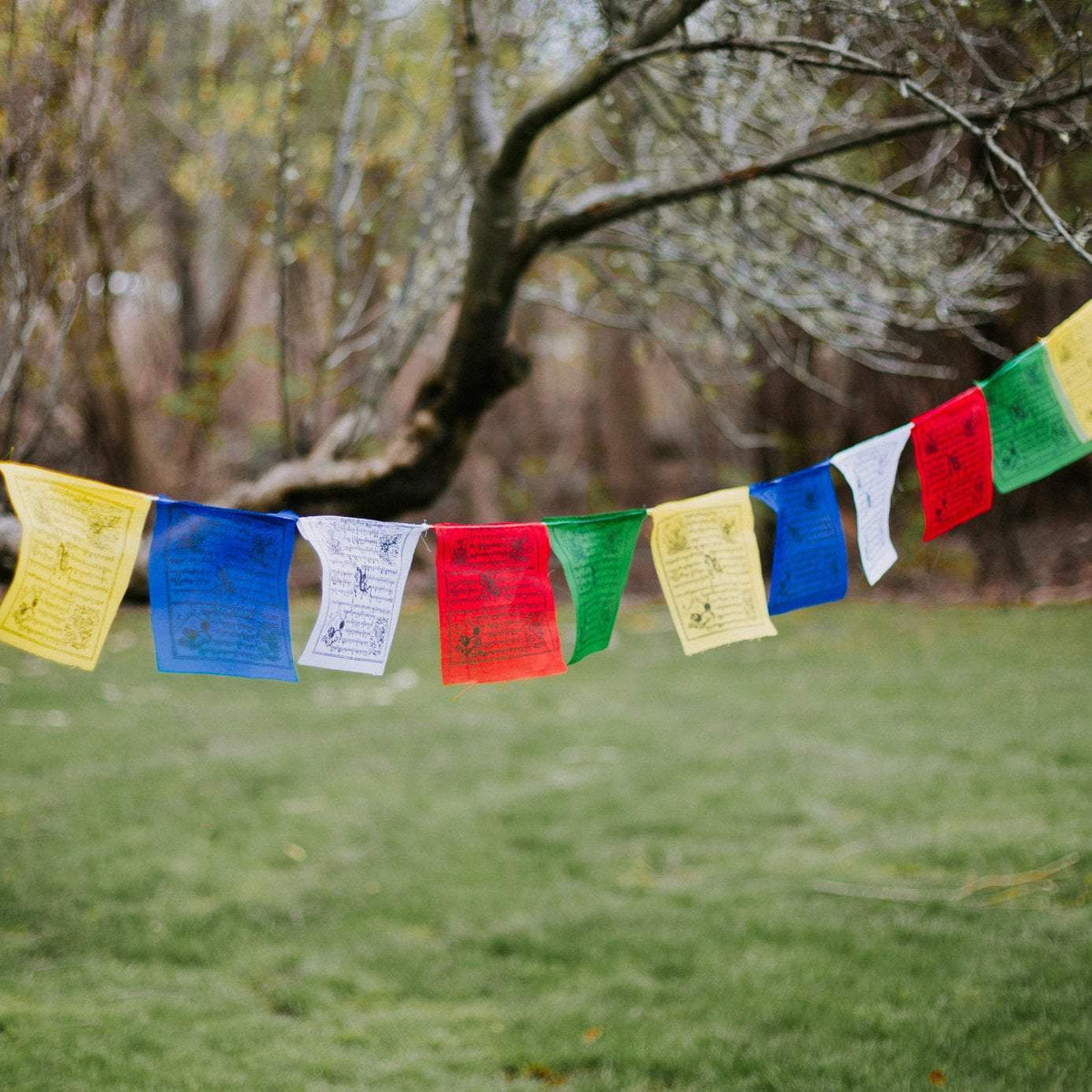 Prayer Flag Gift Set - DharmaShop