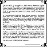 Rainbow Bridge Prayer Flag - DharmaShop