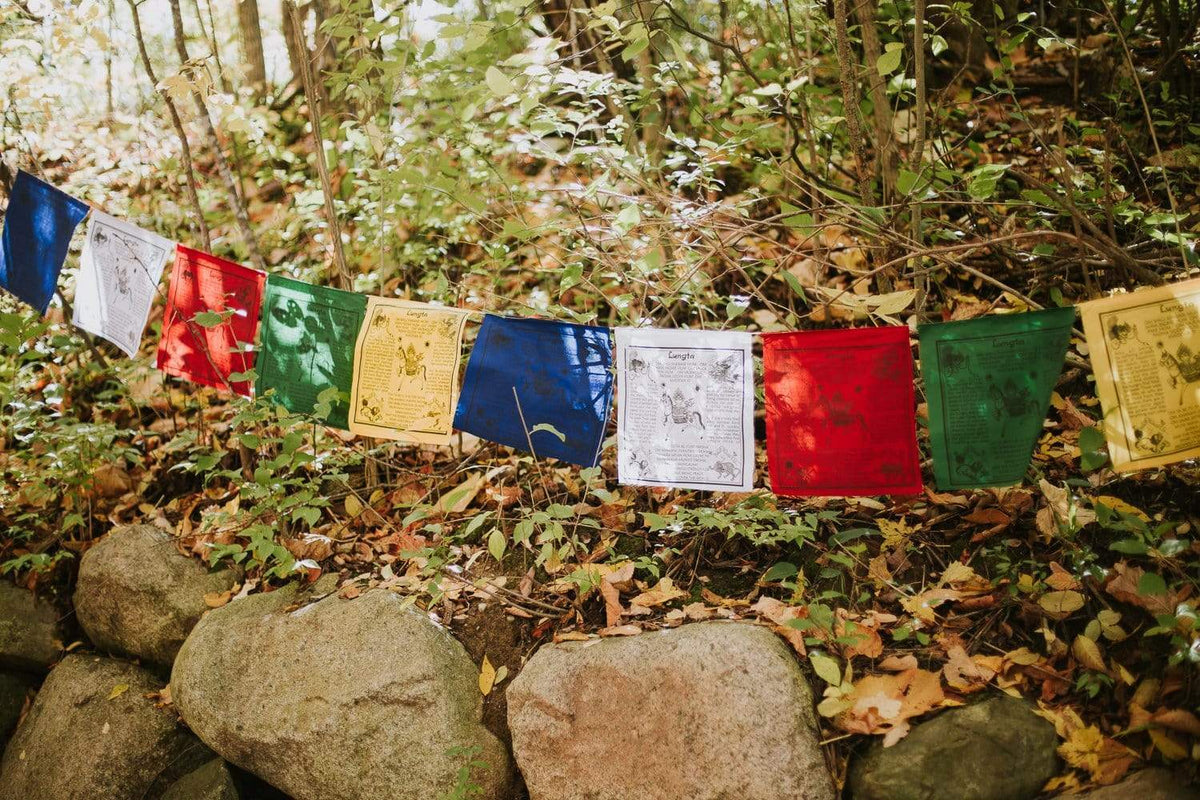 Windhorse Mantra Prayer Flags in English - DharmaShop