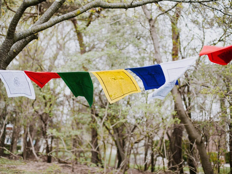 Extra Large Durable Prayer Flags - DharmaShop