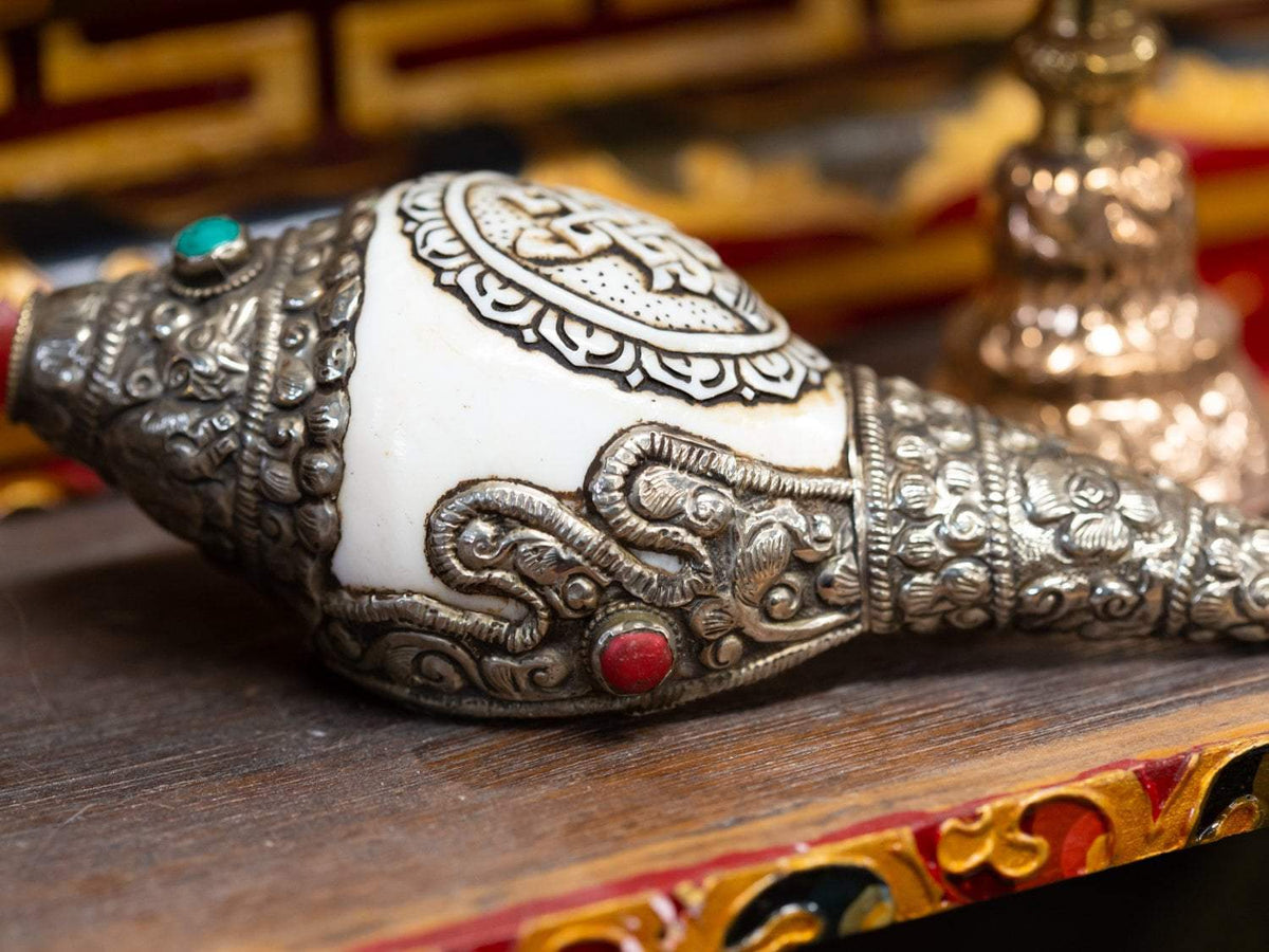 Auspicious Conch Shell - DharmaShop