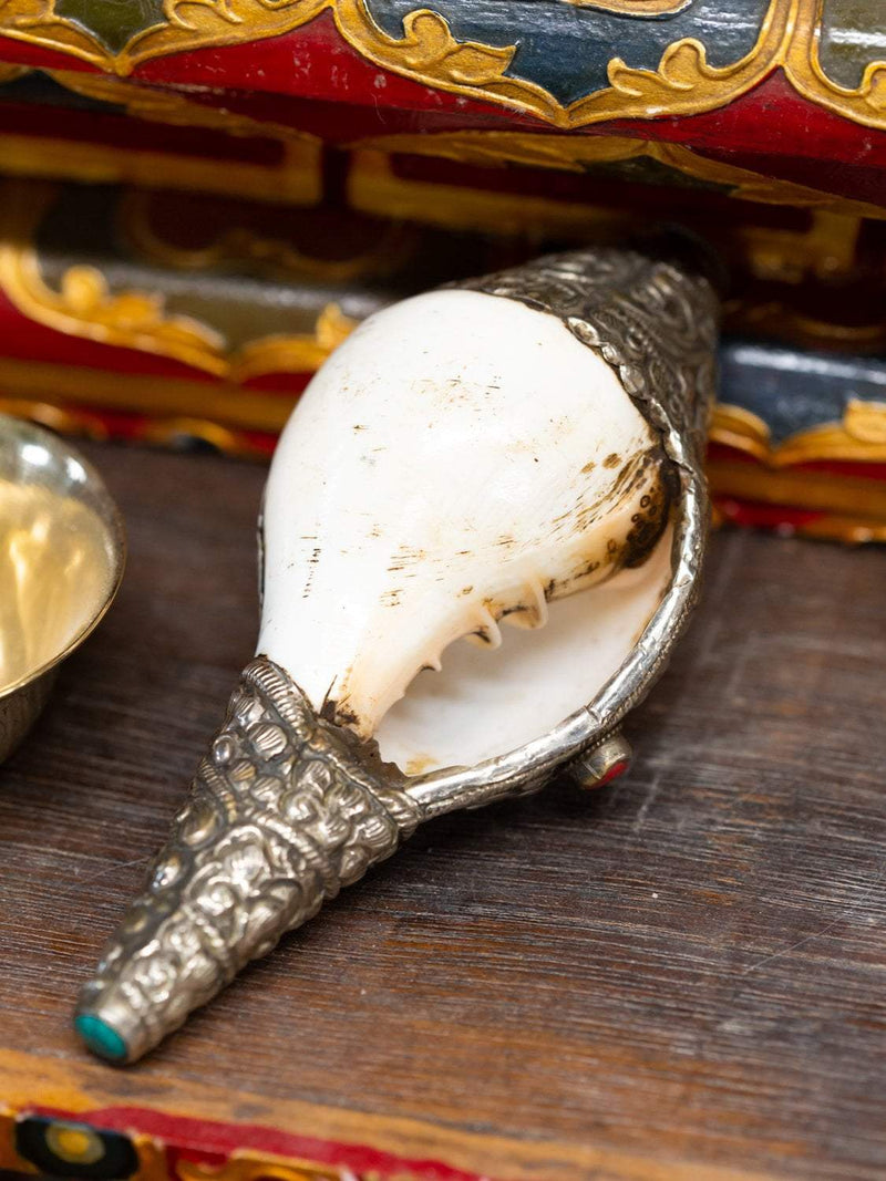 Auspicious Conch Shell - DharmaShop