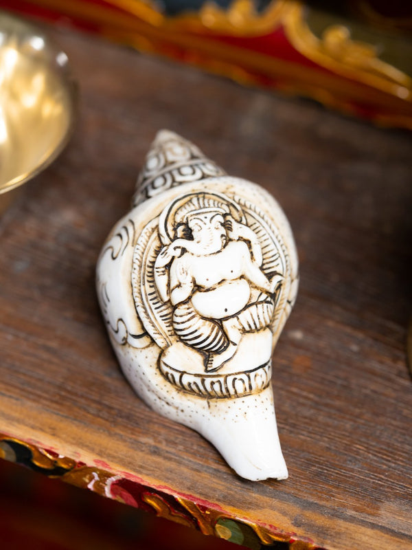 Ganesh Conch Shell - DharmaShop